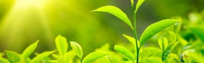 Services – Tuart Place